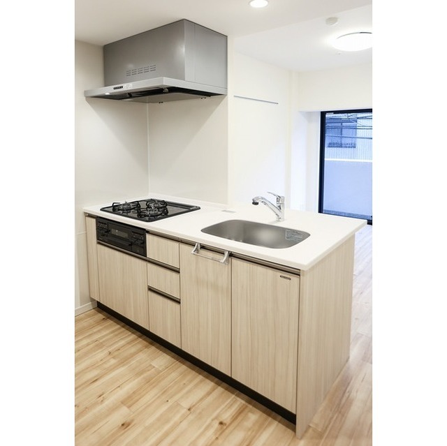 Nishi-kasai Sta. 1LDK 303, Tokyo - Living Japan