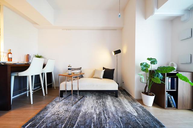 Shinsen Sta. 1LDK 303, Tokyo - Living Japan